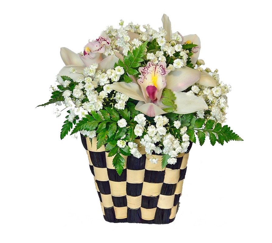 Cvećara Kazablanka Beograd | Najbolji izbor i najbrža isporuka